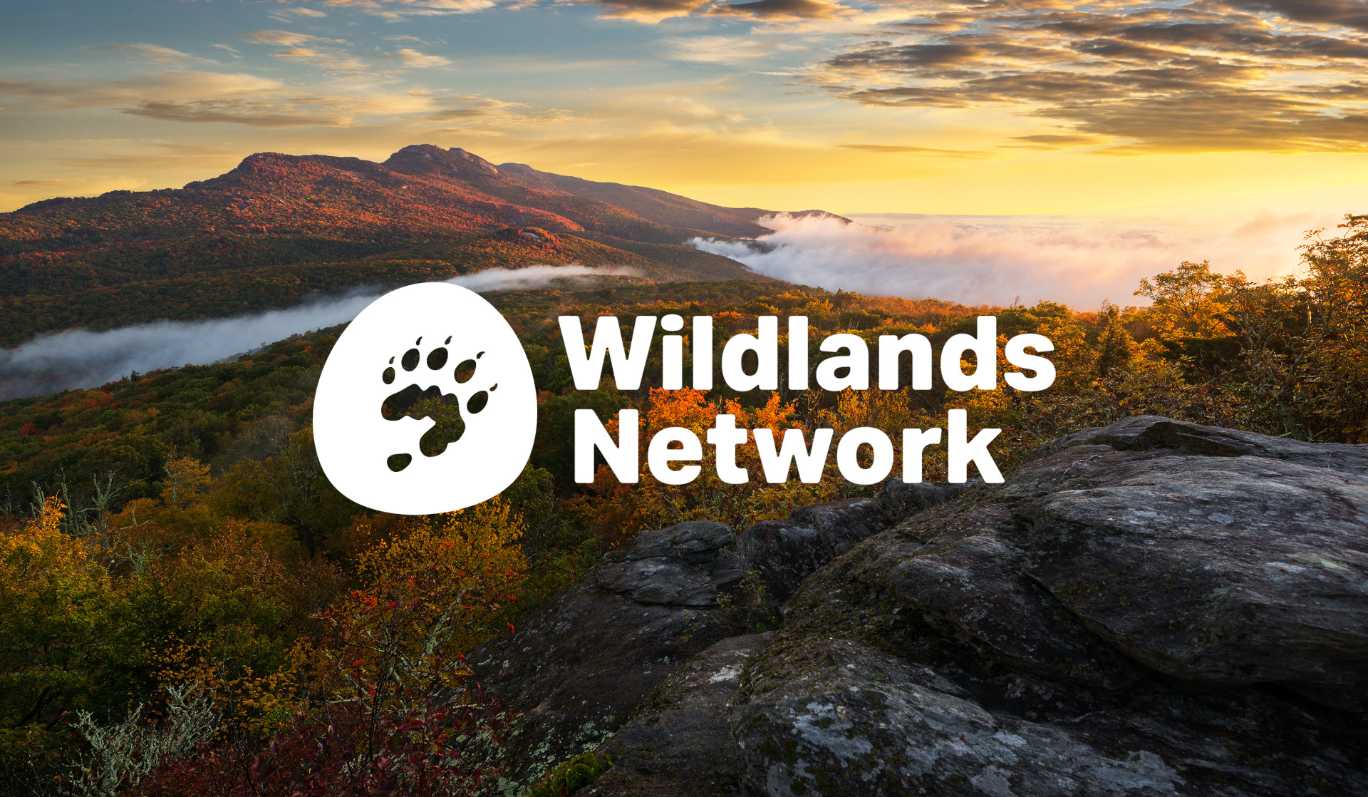 Dalton Maag | Wildlands Network
